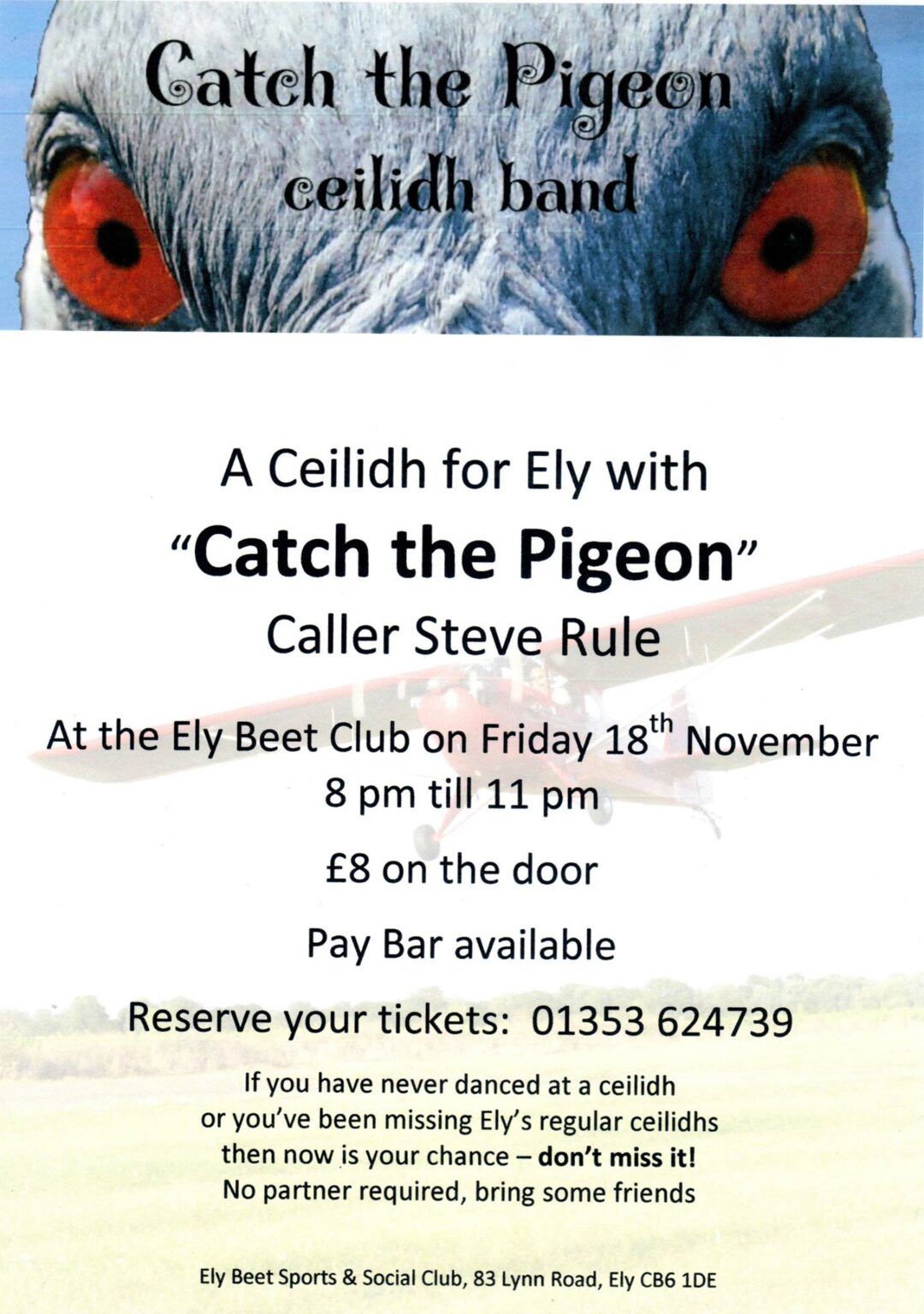 News – Catch the Pigeon ceilidh band